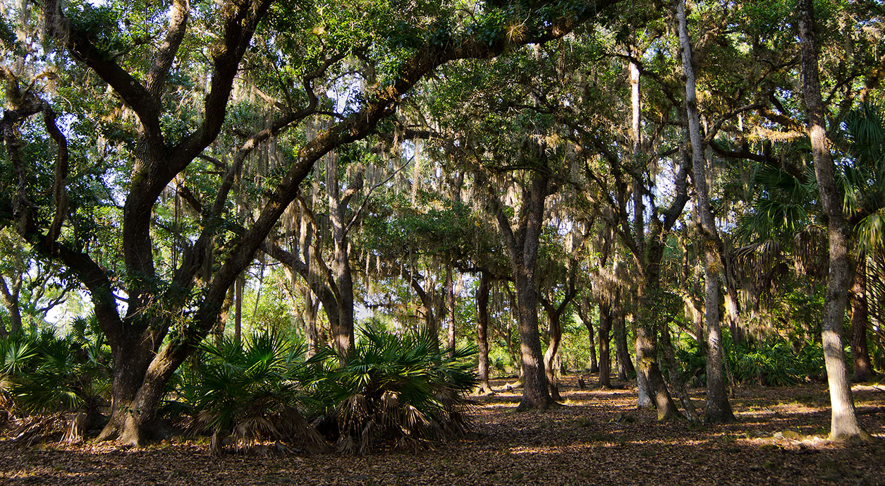 SUMICA - Polk County Government